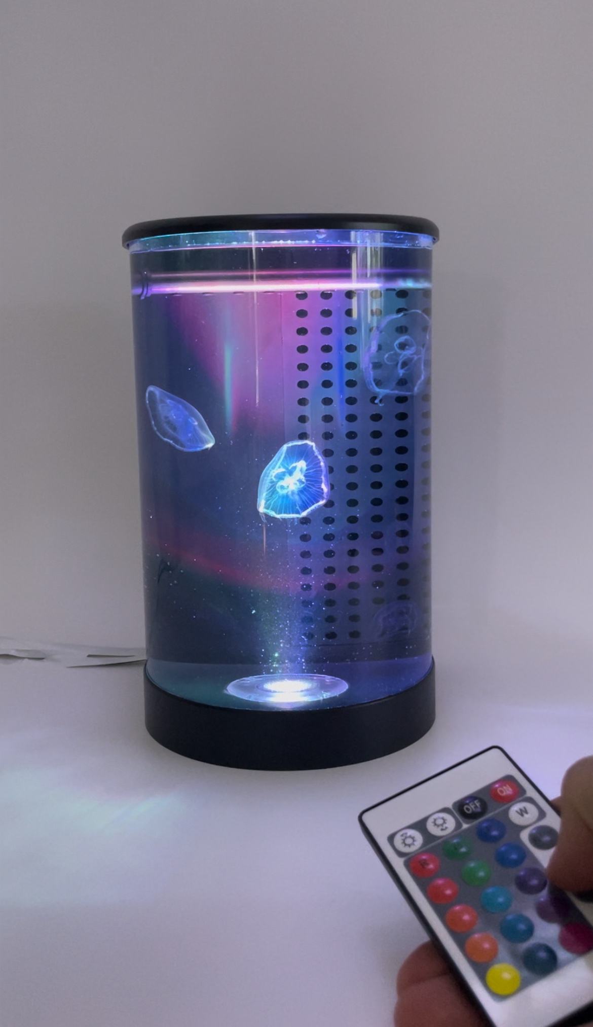 Acuario C3 (3 Litros) - Acuario Tienda Medusas Oasis